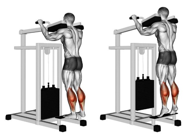 Exercices mollets